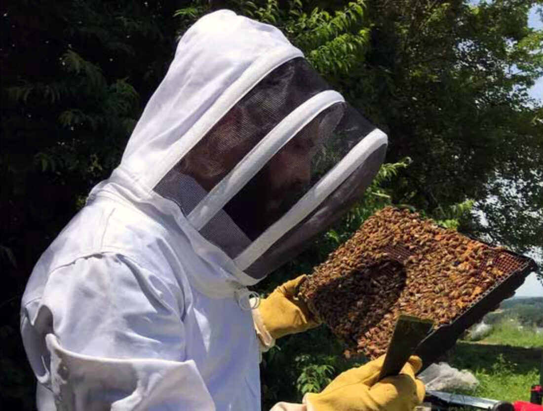 Penn State Extension Master Gardeners shine as leaders at national ...
